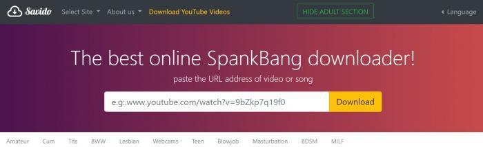 スパンクバングの動画をダウンロードするBest 5 Spankbang Downloader